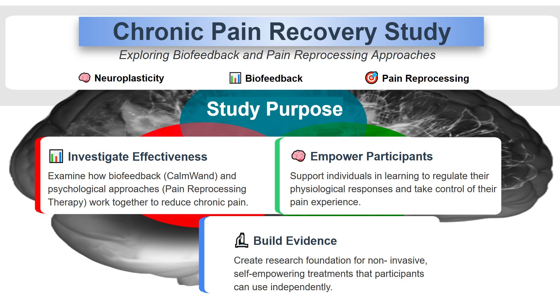 Chronic Pain Study – Hansma Research Group